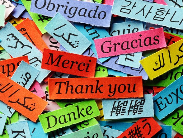 Plurilingüismo - IES Virgen del Carmen